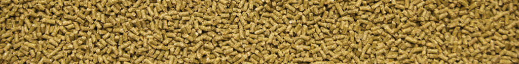 Laboratory Animal Diets | Specialty Feeds