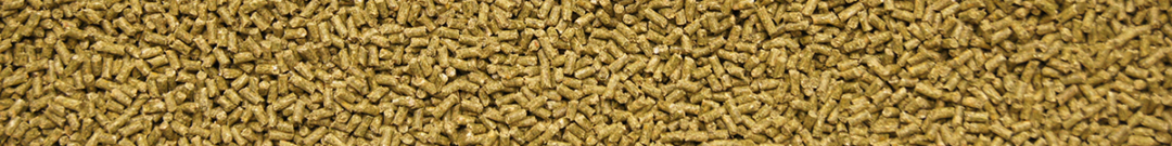 Laboratory Animal Diets | Specialty Feeds